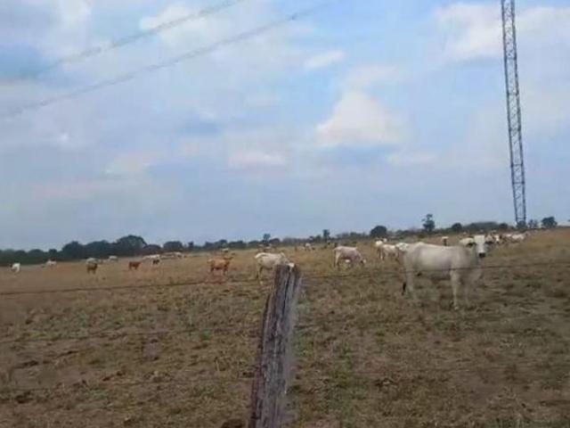 FAZENDA A VENDA NA REGIÃO DE CUIABÁ MT!