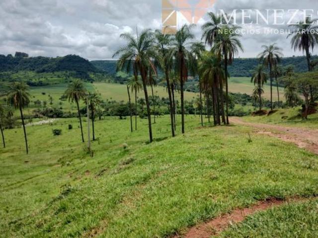 Fazenda à venda na região de Franca/SP