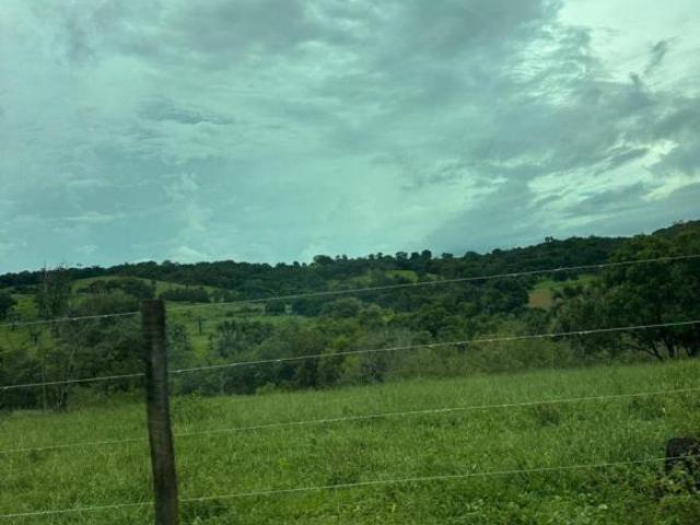 FAZENDA À VENDA NA REGIÃO DE GOIÂNIA