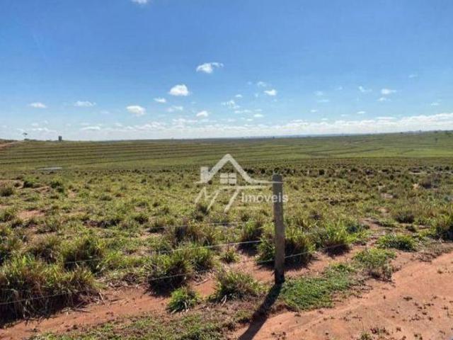 FAZENDA A VENDA NA REGIÃO DE PRESIDENTE VENCESLAU SP