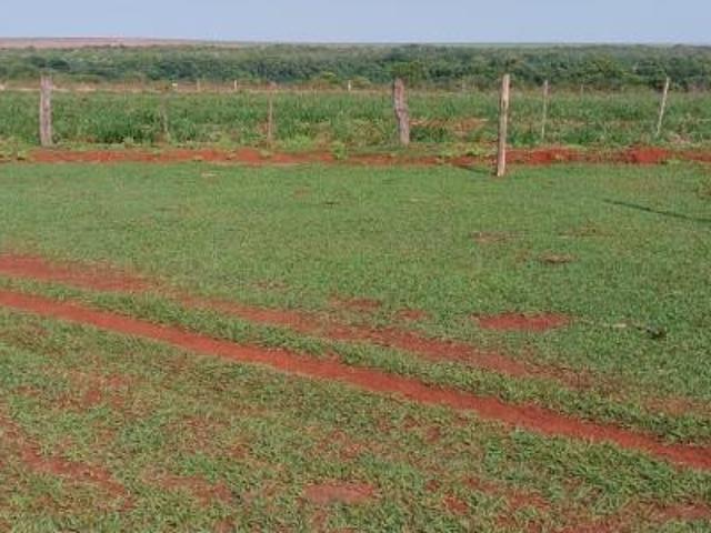 FAZENDA A VENDA NA REGIÃO DE TESOURO MT!