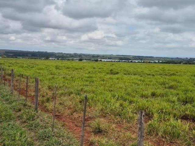 Fazenda à Venda na Região de Presidente Prudente – SP A2