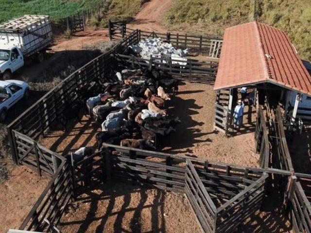 Fazenda à Venda na Região Sul de Minas – Barrania/MG Próxima a Caconde H1