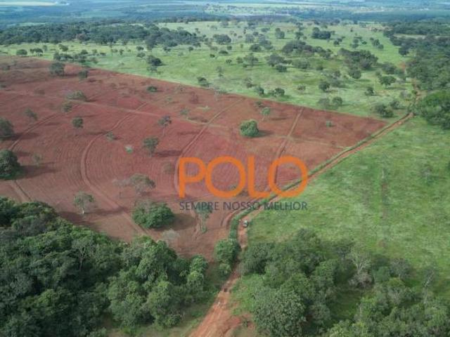 Fazenda à venda na Zona Rural de Uberlândia/MG