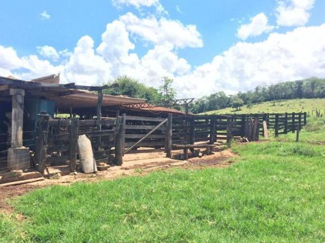 Fazenda à Venda Santo Antônio de Goiás GO