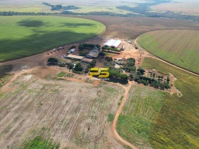 Fazenda à Venda, Setor Central Goiás
