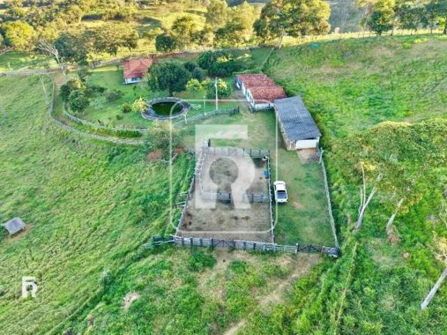 Fazenda a Venda Sitio Haras Rural