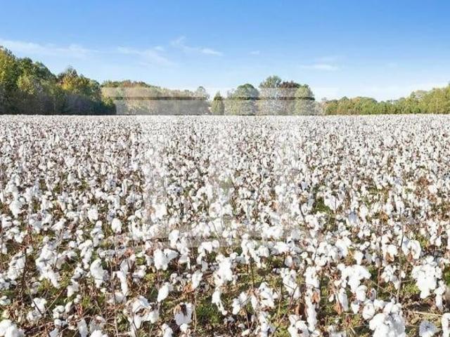 Fazenda à venda, ² por R$ 1.200.000,000,00