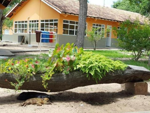 FAZENDA À VENDA – PANTANAL ALTO / RIO NEGRO – MS