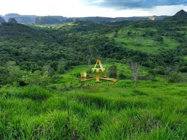 Fazenda à Venda para Cria e Recria Pedra Preta MT