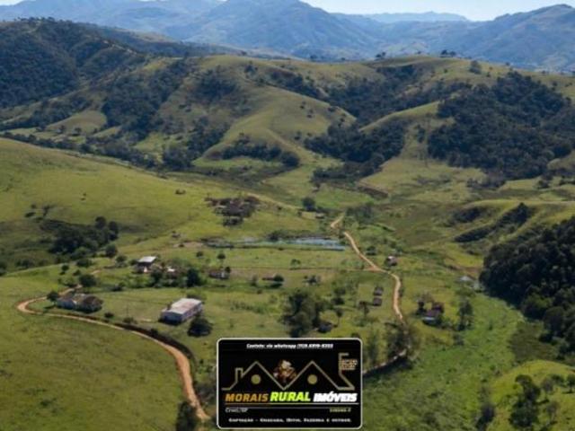 FAZENDA A VENDA PARA MAIS DE 500 CABEÇAS DE GADO 11 9.6919 9355