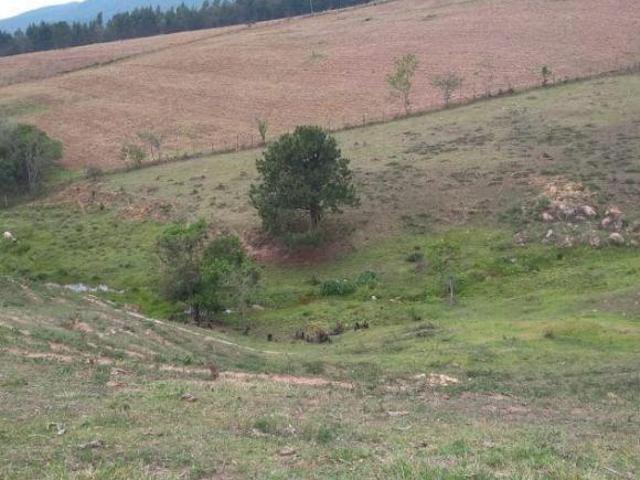 Fazenda à Venda  Pé do Morro | Cabreúva