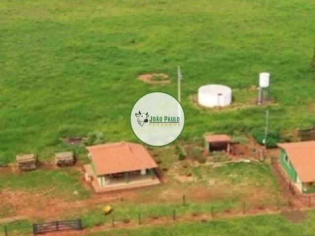 Fazenda a venda Prata MG 192 Hectares Nova e de altíssima produtividade Infraestrutura