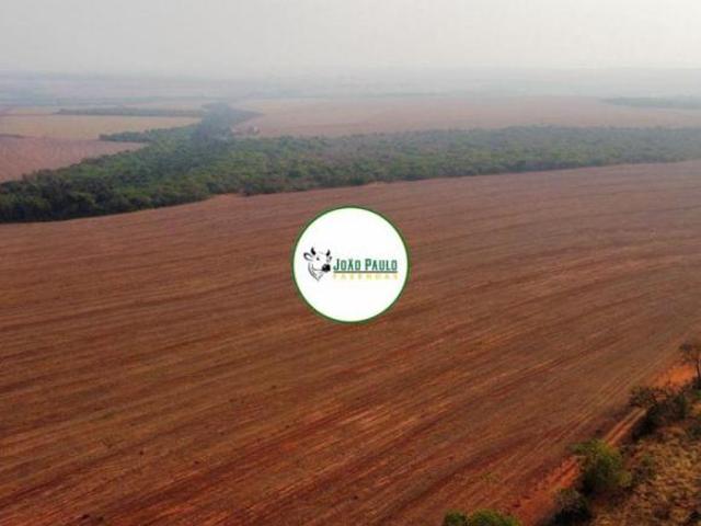 Fazenda a venda Prata MG 377 hectares Área para lavoura Divisa com laranja, cana e soja