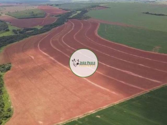 Fazenda a venda Prata MG 94 Hectares Área agricultável: 87 hectares Topografia: Plana