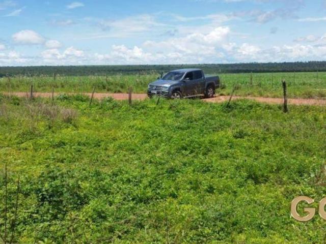 FAZENDA A VENDA PRÓXIMO A RONDONÓPOLIS MT
