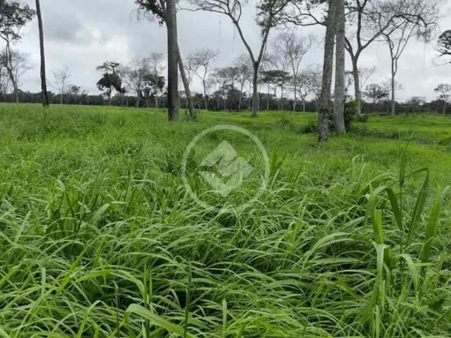 Fazenda a venda próximo ao município de Cáceres Mato Grosso