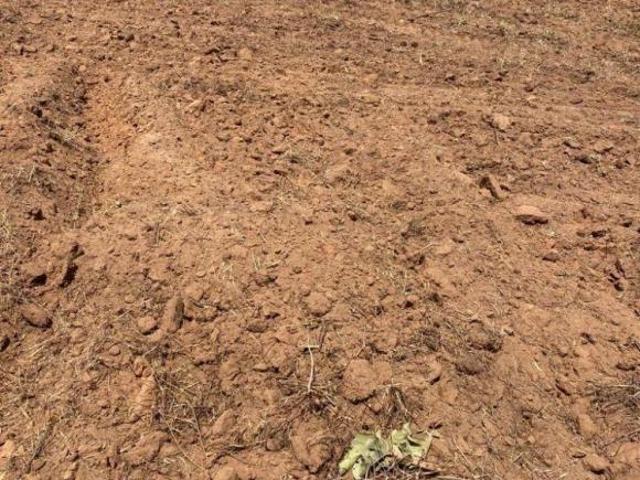 FAZENDA A VENDA REGIÃO DE PRIMAVERA DO LESTE MT