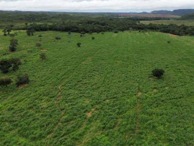 FAZENDA A VENDA REGIÃO DE ROSÁRIO OESTE MT!