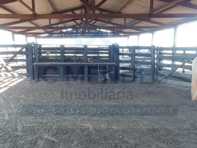 FAZENDA À VENDA – REGIÃO DE São José do Rio Preto