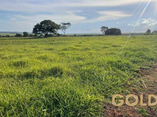 FAZENDA A VENDA REGIÃO DE TESOURO MT