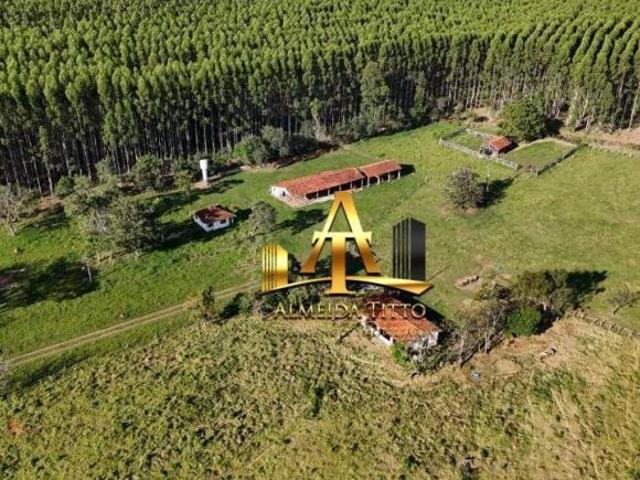 Fazenda à Venda Região Paranapanema/SP