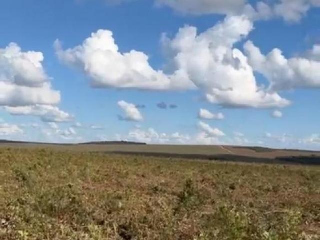 Fazenda a Venda Região Paranatinga MT