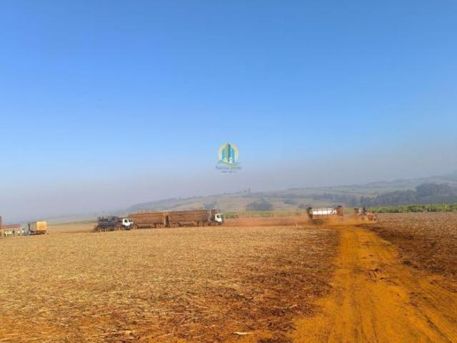 Fazenda à Venda – Rio Claro/SP
