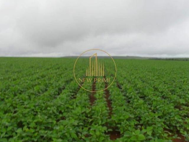 Fazenda à Venda – Unaí/MG – 472 ha