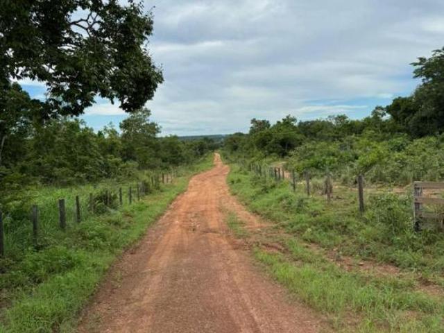 FAZENDA À VENDA – URUAÇU / GO