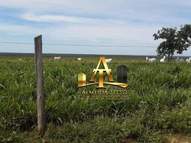 Fazenda à Venda Zona Rural Chapada Gaúcha/MG