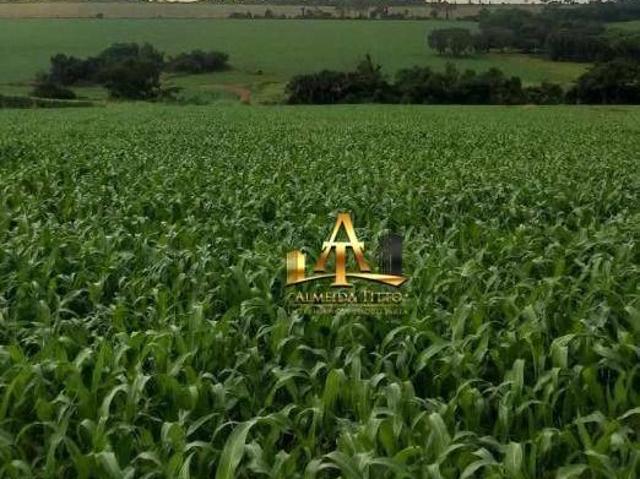 Fazenda à Venda Zona Rural Cristianópolis/GO