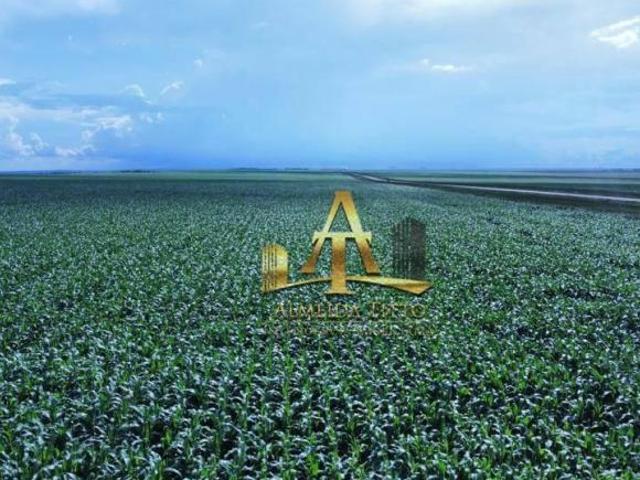 Fazenda à Venda Zona Rural Diamantino/MT