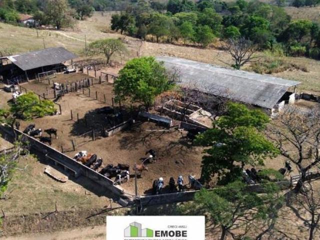 Fazenda à venda, Zona Rural Pequi/MG