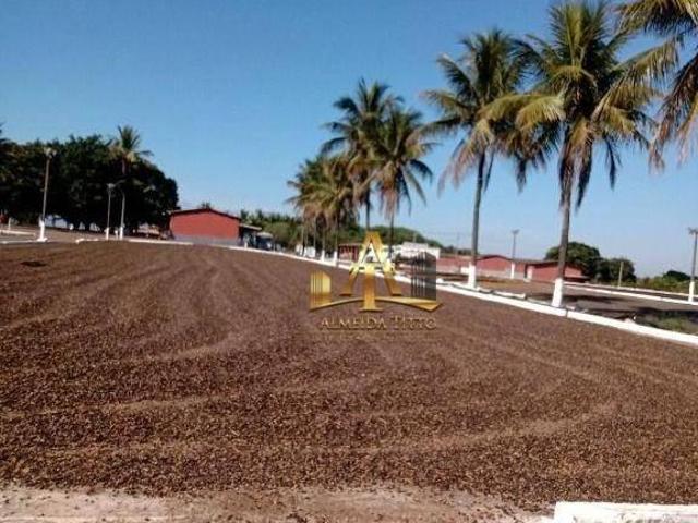 Fazenda à Venda Zona Rural Piumhi/MG