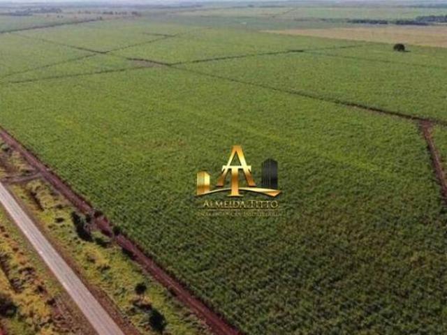 Fazenda a Venda Zona Rural Rio Brilhante/MS