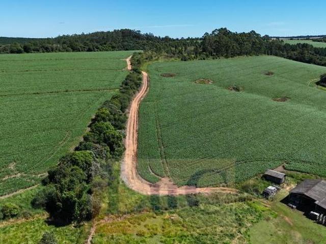 Fazenda Adricultura e eucalipto São Miguel Arcanjo SP
