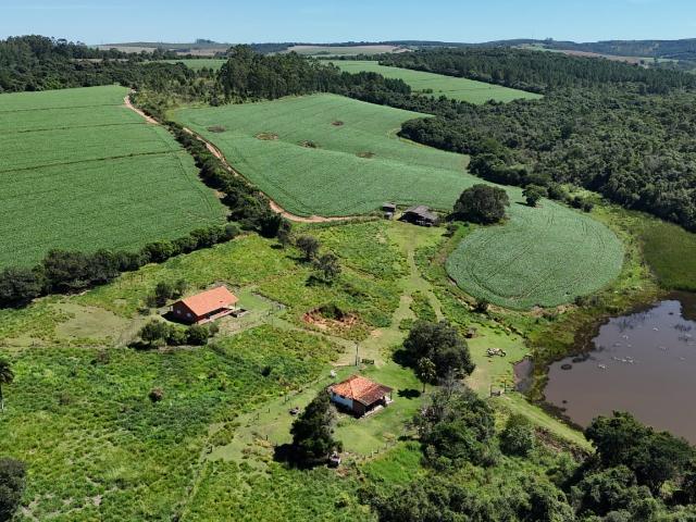 Fazenda Adricultura e eucalipto São Miguel Arcanjo SP