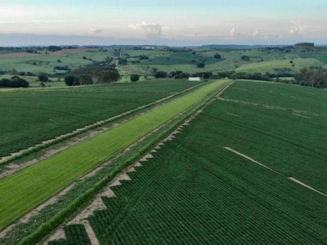 Fazenda Aeronáutica 56ha em Marília/SP: Pista de 900m, Hangar e Solo de Alta Produtividade