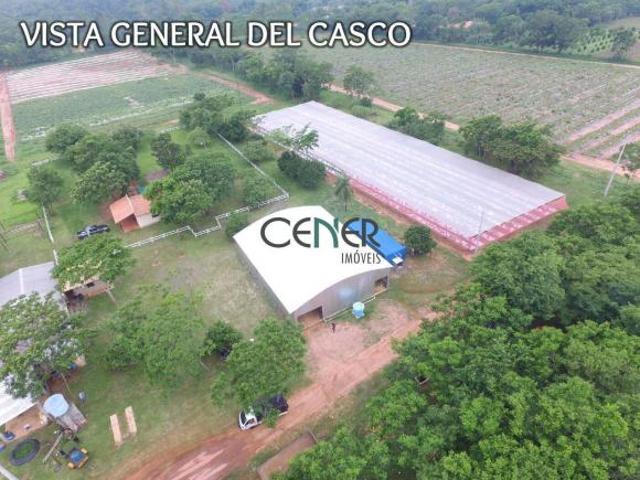 Fazenda agronegócio de 53,4 ha, multiprodutiva no Paraguai