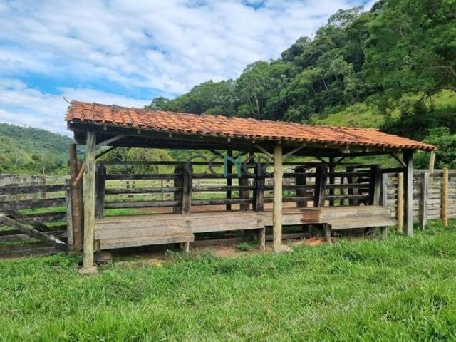 Fazenda agregada com 167 ha ou 194, 286 ou 361 ha reg de Lafaiete