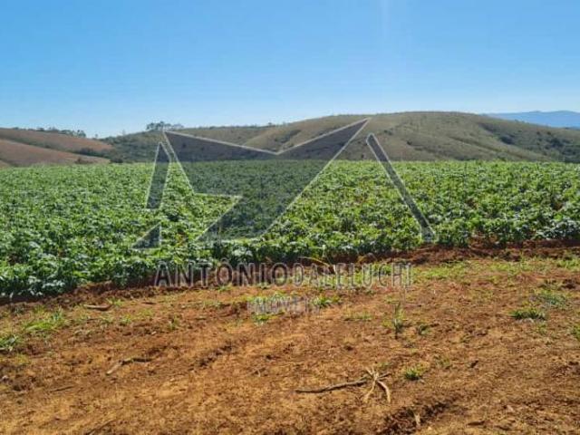 Fazenda Agrícula _ 378 hectares _ 76% de aproveitamento _ Sul de Minas