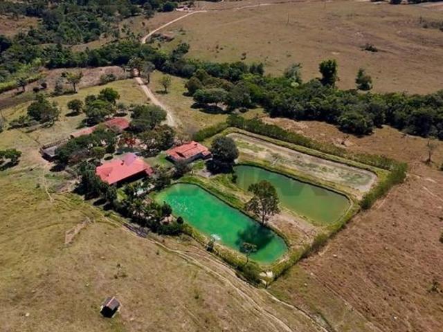 Fazenda Alecrim: Charme e Elegância à Venda!