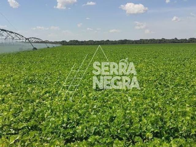 FAZENDA ALTO PADRÃO 1.100 ALQUEIRES JUSSARA GOIÁ GO