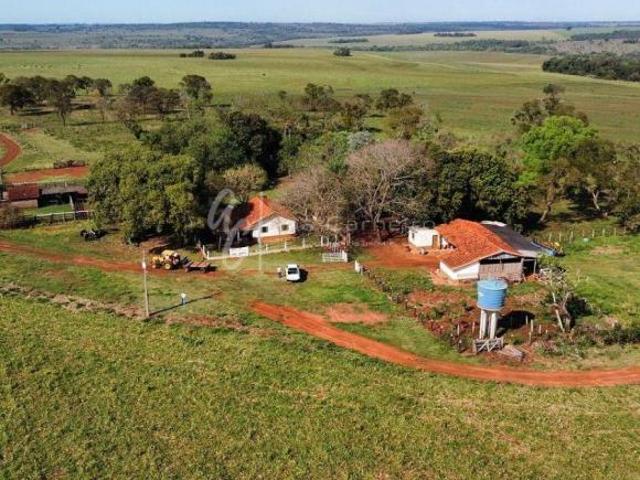 Fazenda Amabaí MS