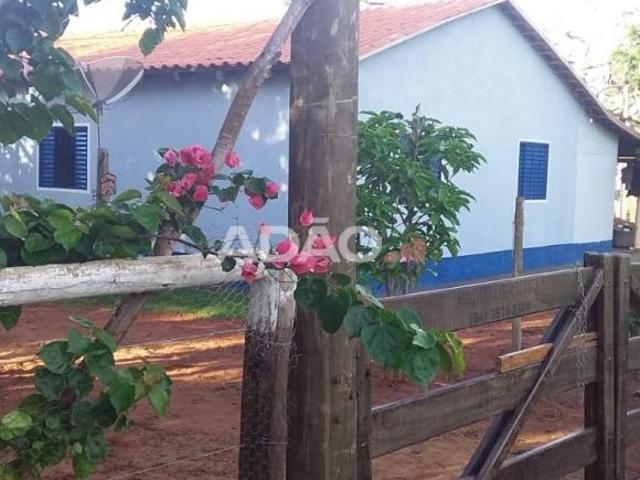Fazenda Amorinopolis 7 Alqueires Chácara à Venda, 338000.00 por R$ 1450000.00 IN7874