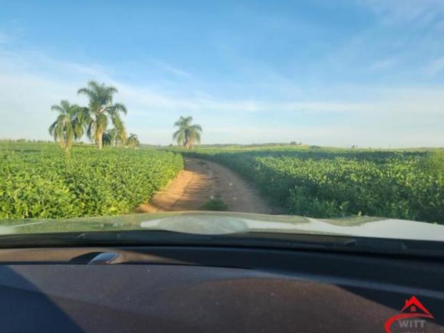Fazenda apenas 50 quilômetros de PORTO ALEGRE