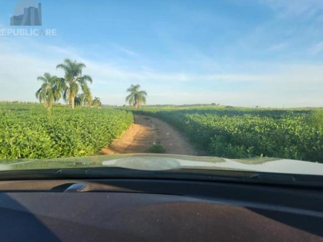 Fazenda apenas 50 quilômetros de PORTO ALEGRE