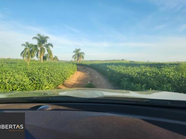 Fazenda apenas 50 quilômetros de PORTO ALEGRE