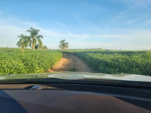 Fazenda apenas 50 quilômetros de PORTO ALEGRE